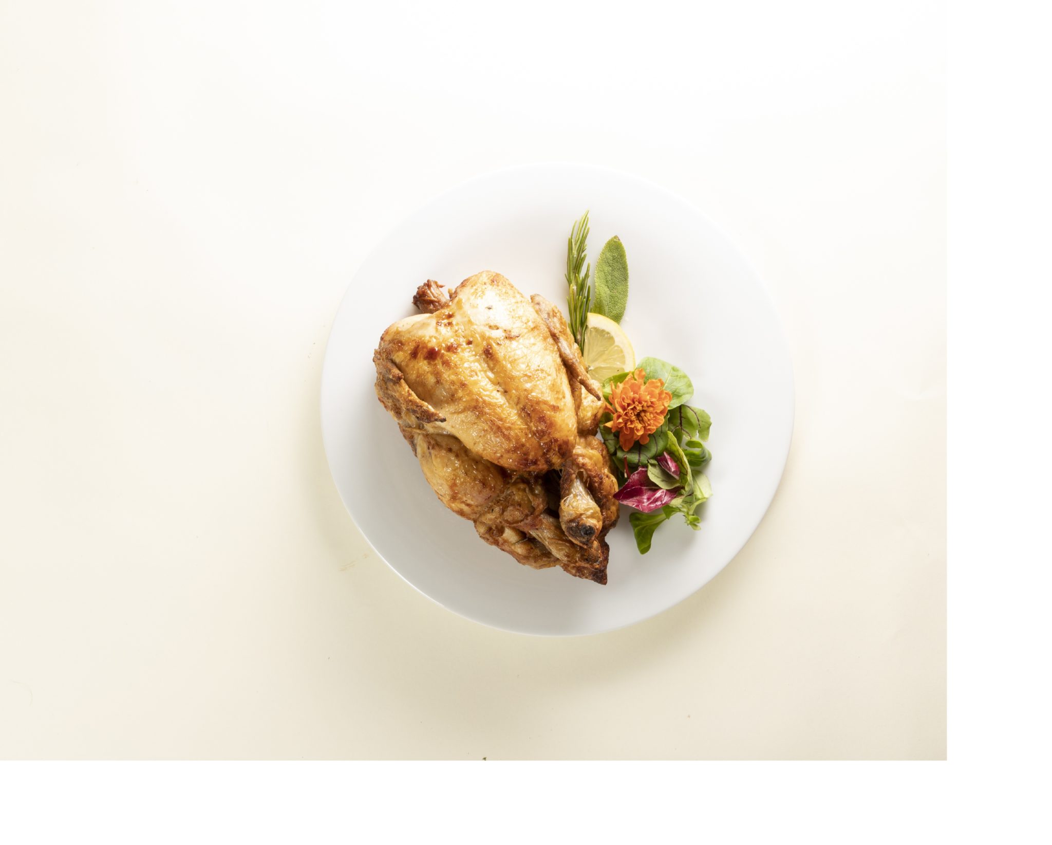 Gastronomia Falcone